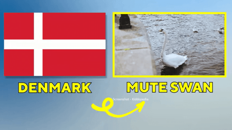 National Flags And National Animals Of 68 Countries | Simply Life Tips