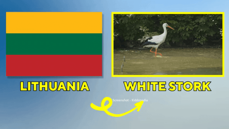 National Flags And National Animals Of 68 Countries | Simply Life Tips