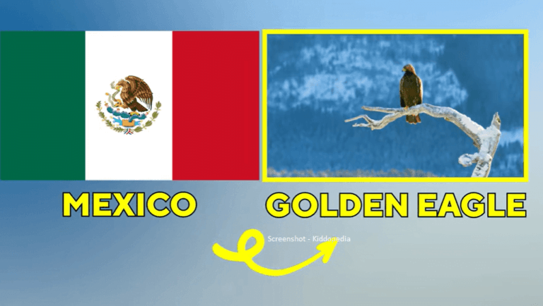 National Flags And National Animals Of 68 Countries | Simply Life Tips