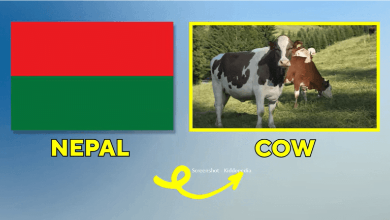 National Flags And National Animals Of 68 Countries | Simply Life Tips